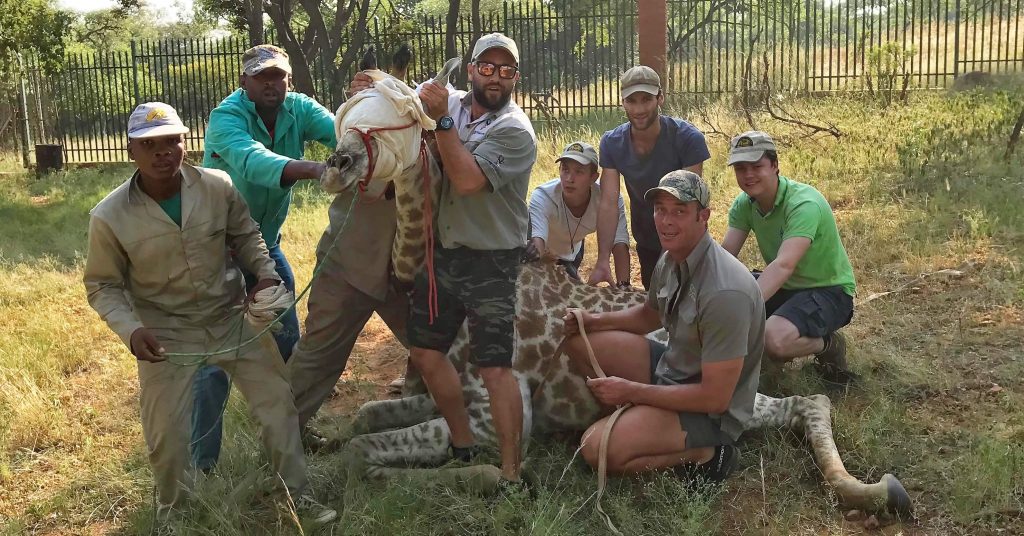 Everyone loves volunteering with animals in Africa, right? - Experience ...